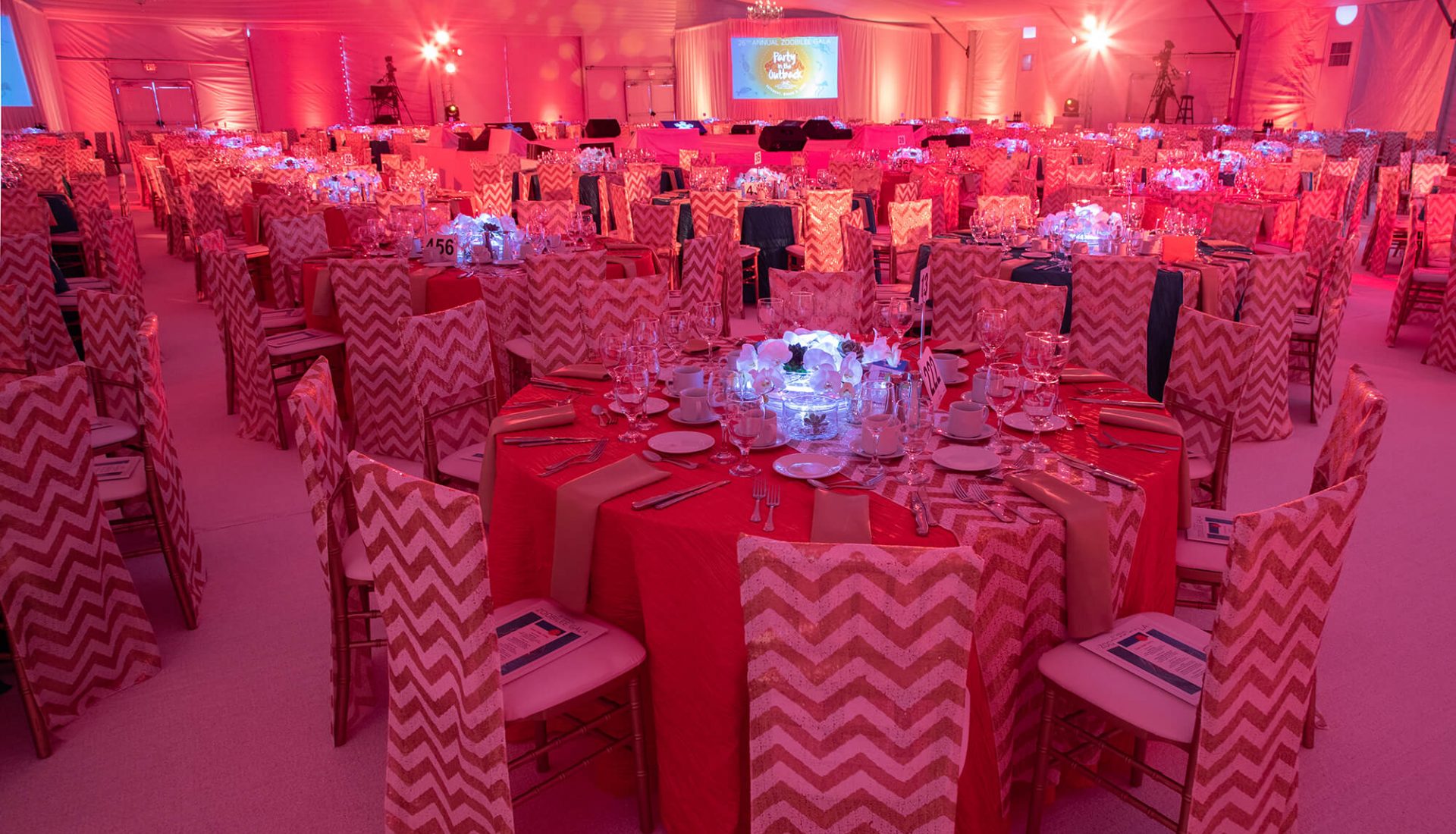 The Living Desert - Party In The Outback | MOMENTOUS