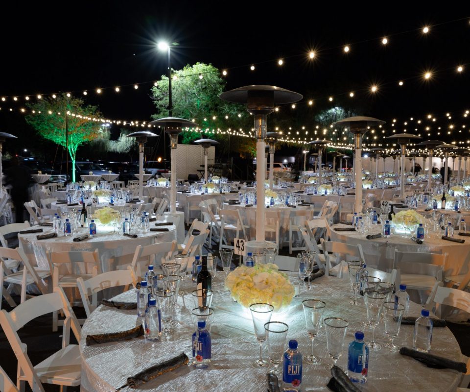 ONE NIGHT ONLY VIP SPONSOR DINNER