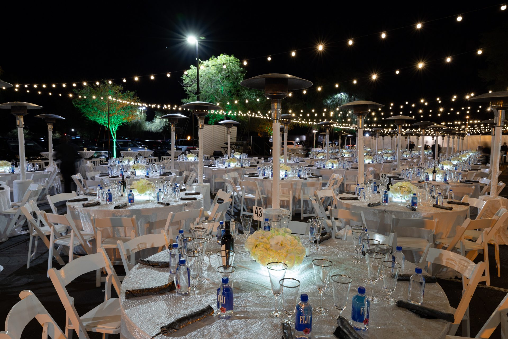 ONE NIGHT ONLY VIP SPONSOR DINNER